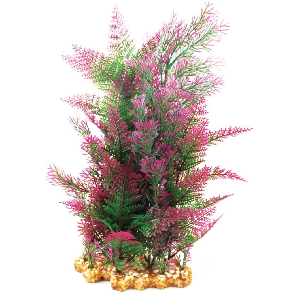 Aqua One Purple Mix Fern - Default Title | Zoars Ark Pet Superstore