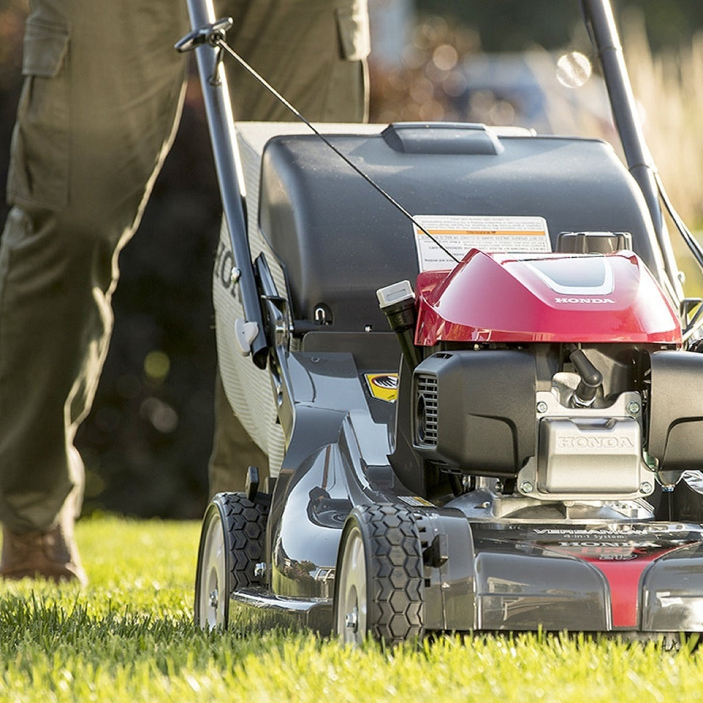 Lawn UK Tough Green Grass Seed Mix 2kg - Default Title | Zoars Ark Pet Superstore