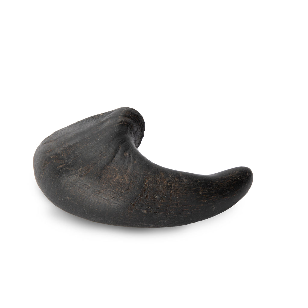 Digby & Fox Buffalo Horns - Large | Zoars Ark Pet Superstore