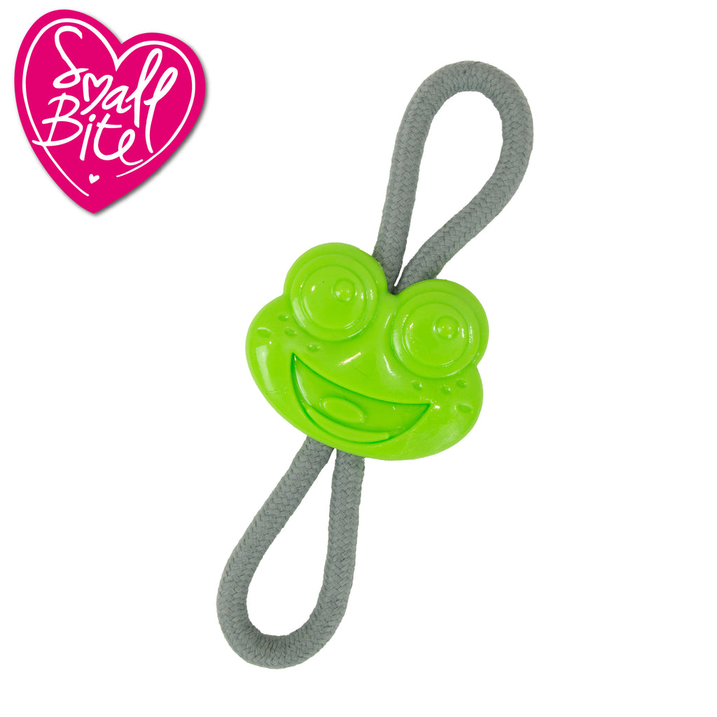Frog Teether Toy - Default Title | Zoars Ark Pet Superstore