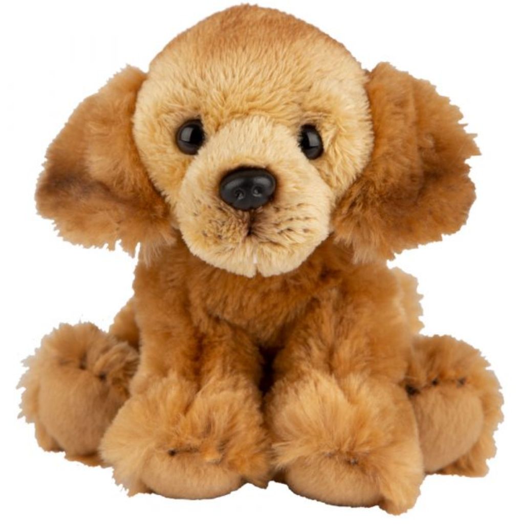 Suki Bear Small Golden Retriever - Default Title | Zoars Ark Pet Superstore