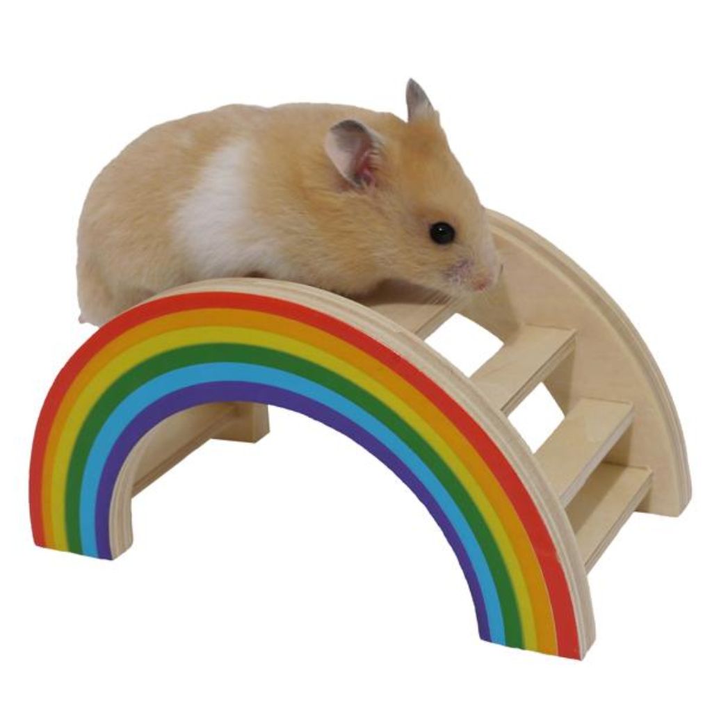 Rosewood Boredom Breaker Rainbow Play Bridge - Default Title | Zoars ...