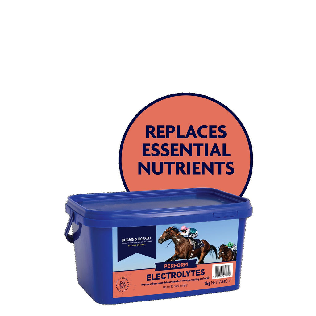 Dodson & Horrell Electrolytes 2kgs - Default Title | Zoars Ark Pet ...