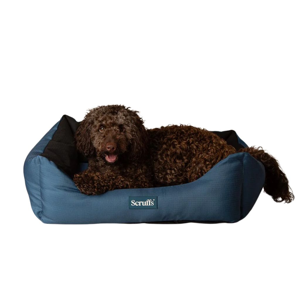 Scruffs Expedition Box Bed - Atlantic Blue / Extra Large | Zoars Ark ...