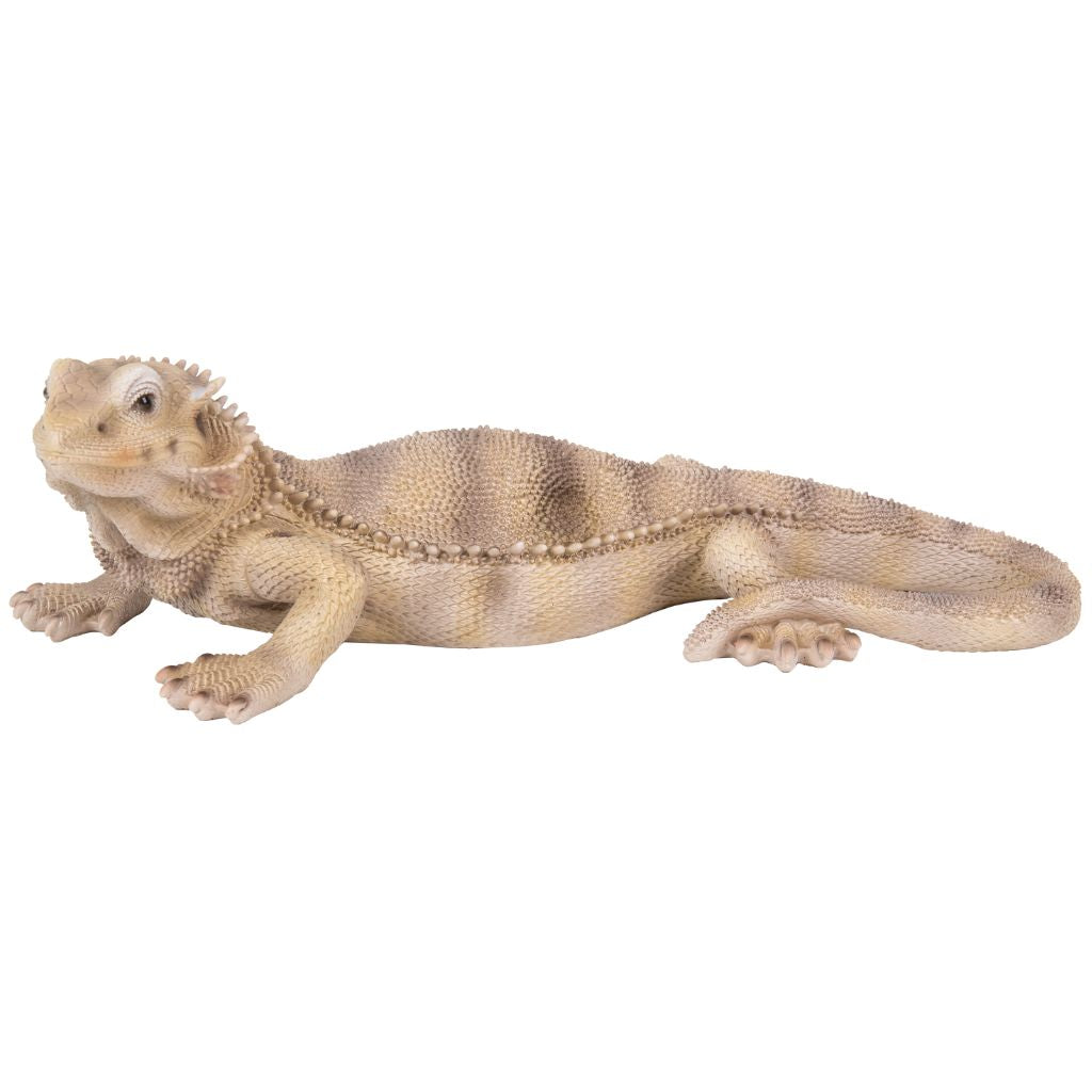 Vivid Arts Bearded Dragon Lizard - Default Title | Zoars Ark Pet Superstore