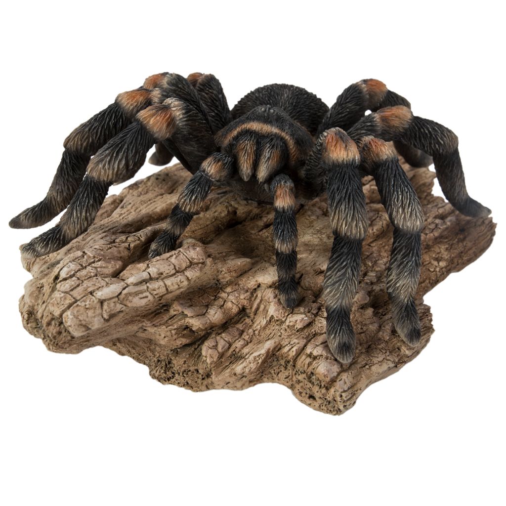 Vivid Arts Tarantula On Log - Default Title | Zoars Ark Pet Superstore