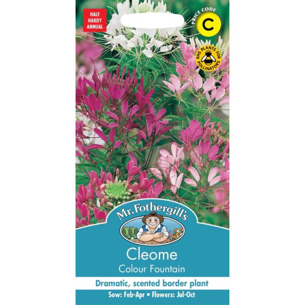 Mr Fothergills Cleome Colour Fountain - Default Title | Zoars Ark Pet ...